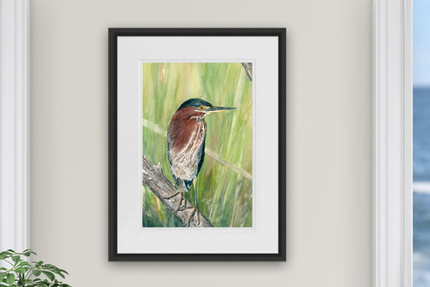 Green Heron Painting | Beth Whitney Studio